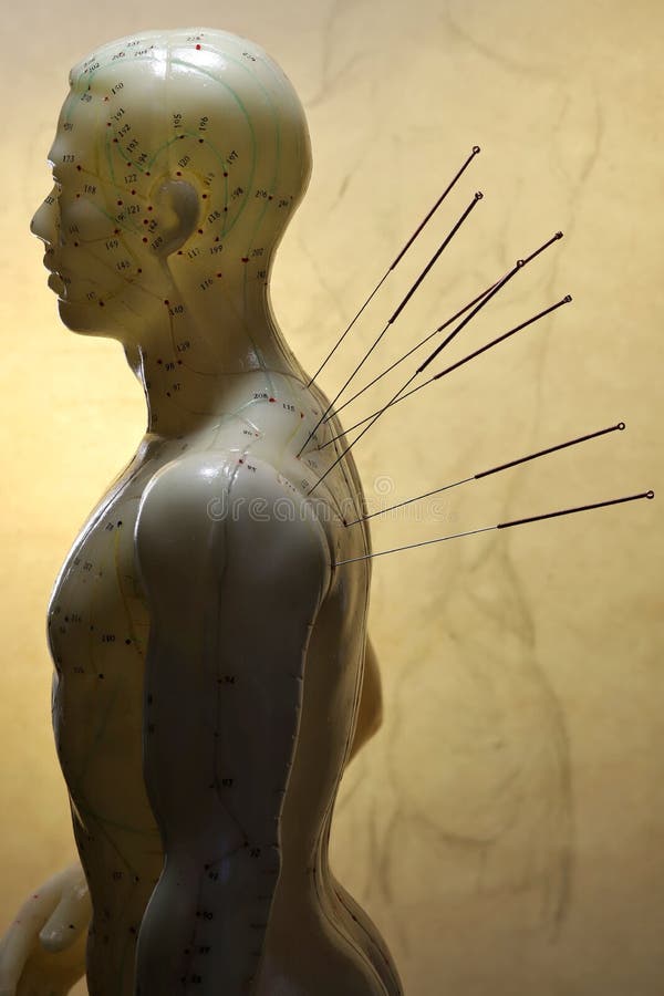 Male acupuncture model stock image. Image of left, meridians - 204655643