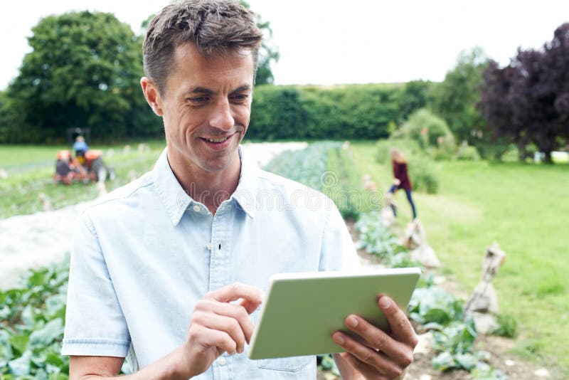 Male Agricultural Worker Using Digital Tablet in Field Stock Photo ...