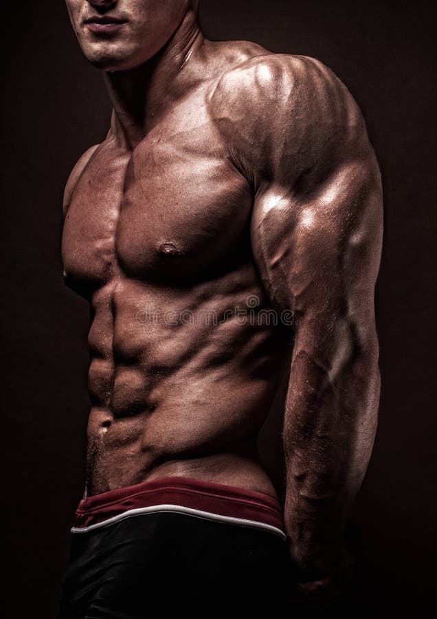 Male arms stock image. Image of torso, triceps, muscle - 29638903