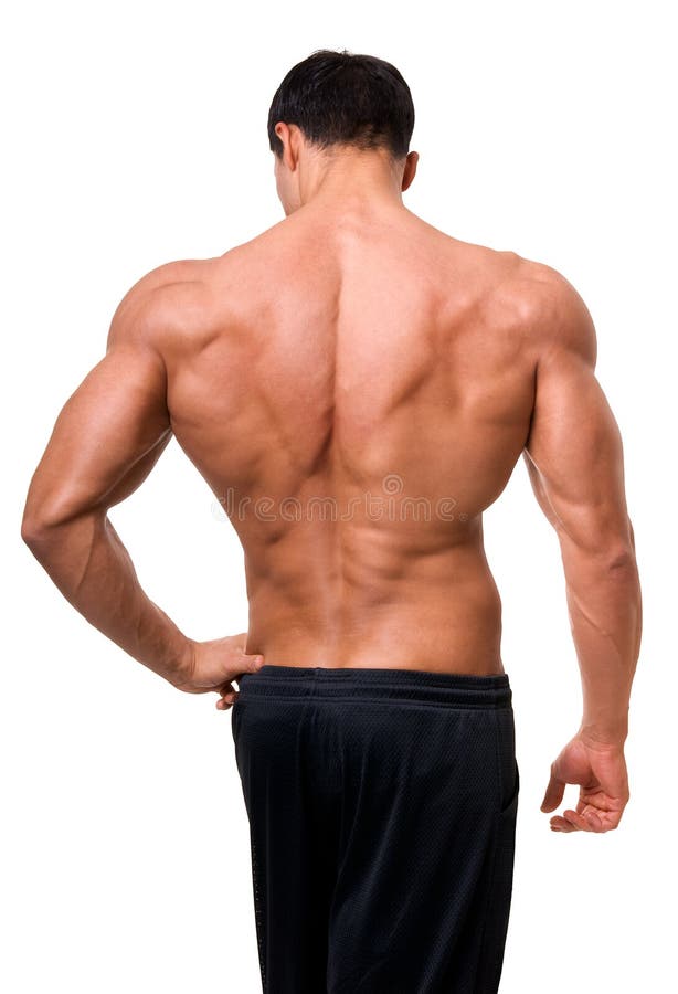 The male back. stock photo. Image of background, muscle - 11866528