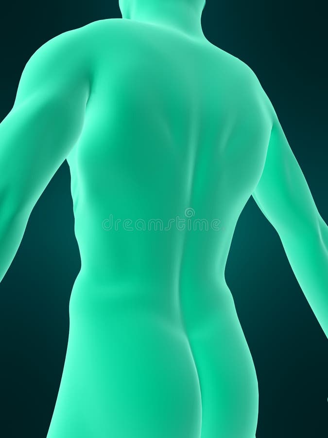Male Back Stock Illustrations – 83,650 Male Back Stock Illustrations ...