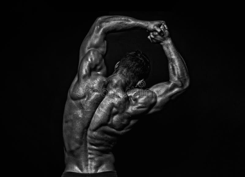 Male back stock photo. Image of fitness, muscular, model - 109324776
