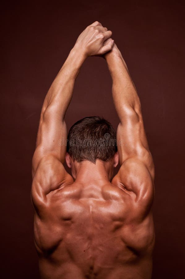 Male back stock image. Image of young, muscle, bottom - 78065191