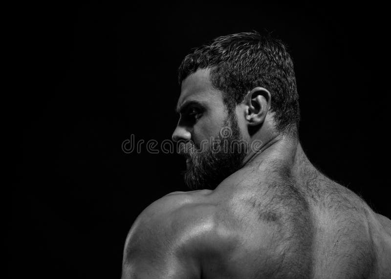 Male back stock image. Image of muscle, young, athlete - 141644365