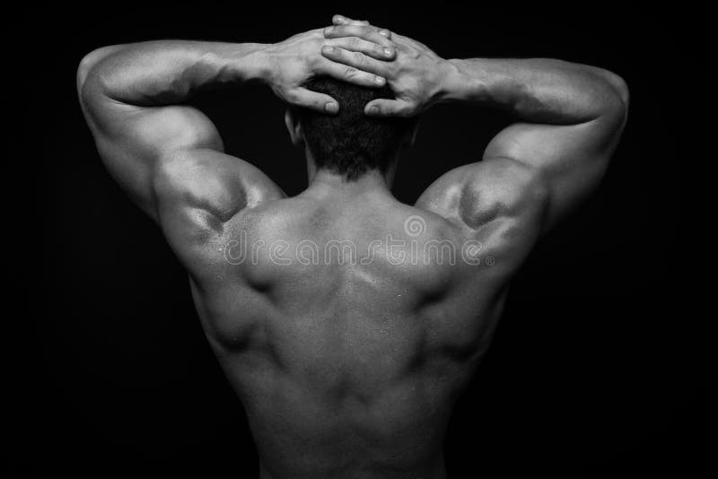 Male back stock image. Image of muscular, young, strong - 181174275