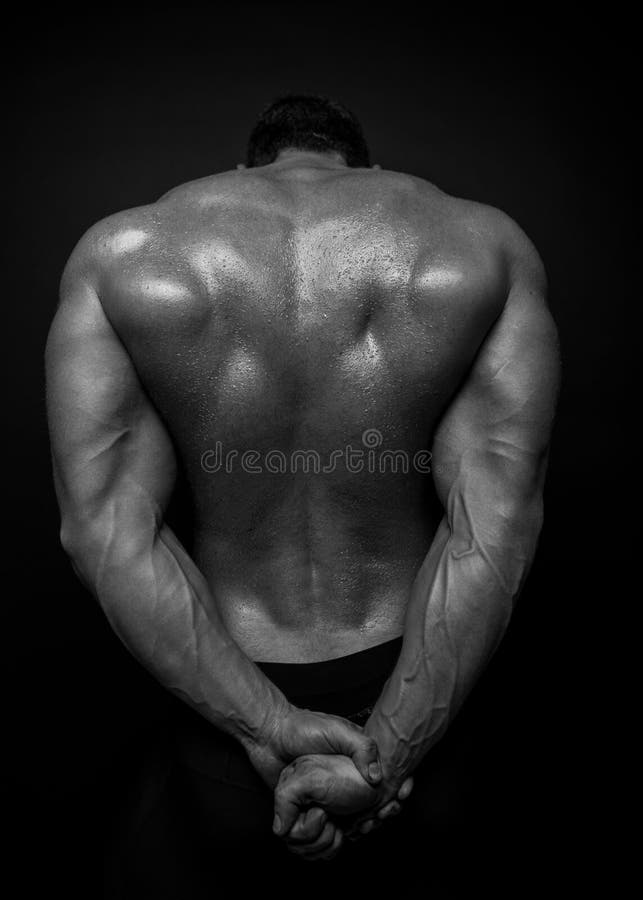 Male back stock photo. Image of athlete, model, male - 181174282
