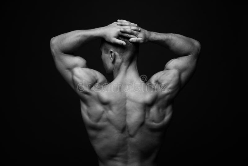 Male back stock photo. Image of torso, fitness, strong - 192133788