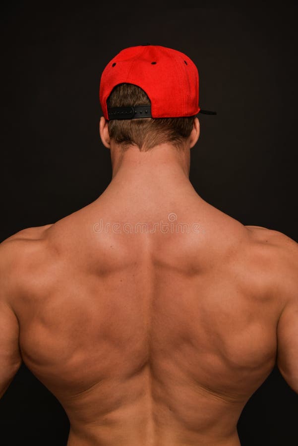 Male back stock photo. Image of torso, muscle, masculinity - 193979434