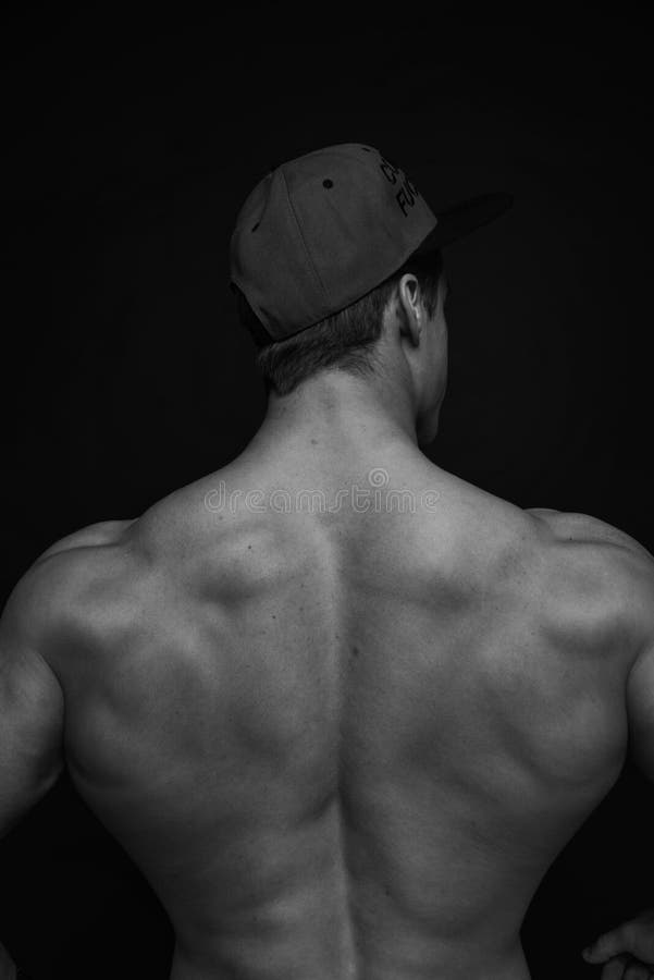 Male back stock image. Image of toned, torso, strong - 193979453