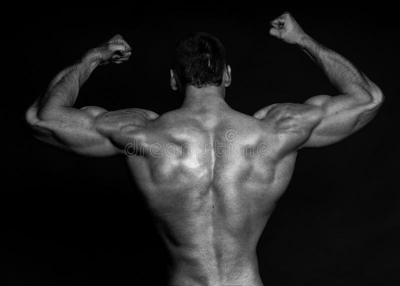 Male back stock photo. Image of male, biceps, macho - 207443450