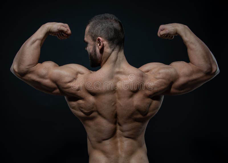 Male back stock photo. Image of muscular, toned, strong - 223010276