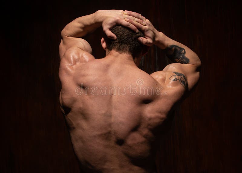 Male back stock photo. Image of strong, model, bottom - 240200944