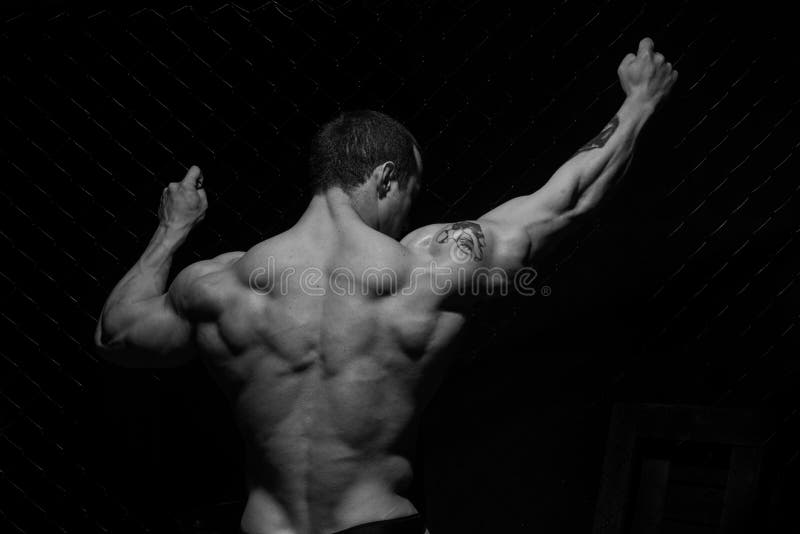 Male back stock image. Image of biceps, masculinity - 240201401
