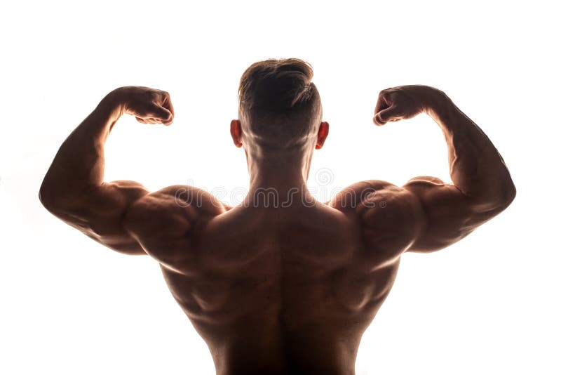 Male back stock photo. Image of strength, sportsmen - 240703428