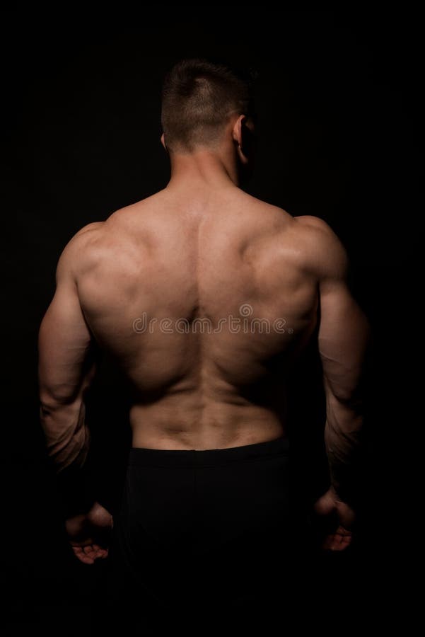 Male back stock image. Image of showing, strength, toned - 343117049