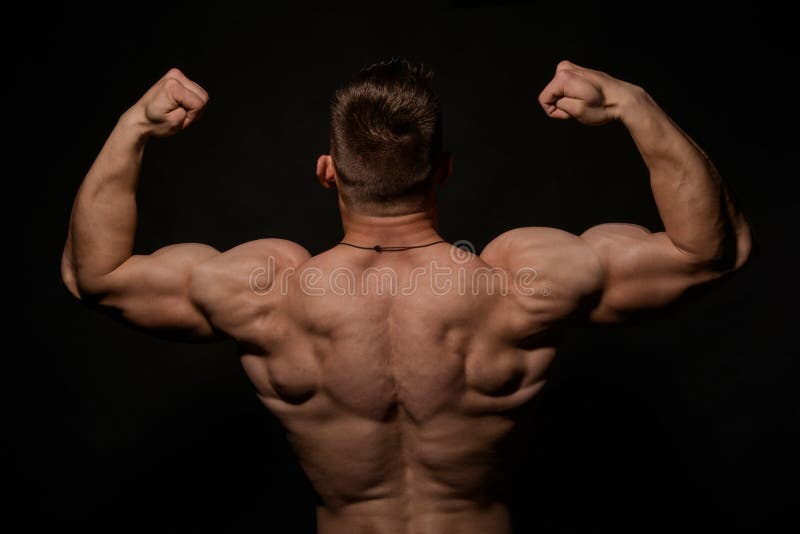 Male back stock photo. Image of sportsmen, healthy, muscle - 343117286