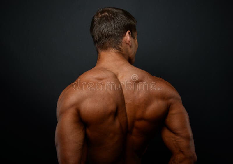 Male back stock photo. Image of fitness, muscular, model - 109324776
