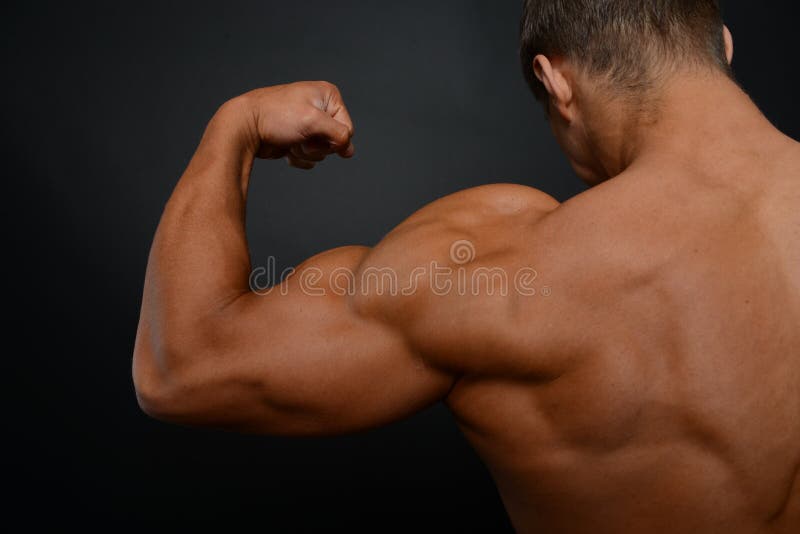 Male back stock image. Image of bottom, muscular, male - 95351779