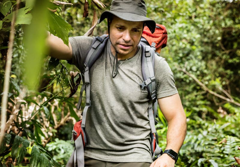 Male Backpacker Trekking in the Forest Stock Image - Image of french ...