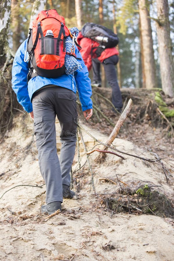 Male Backpackers Hiking in Forest Stock Image - Image of backpack ...