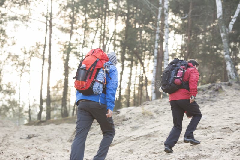 Male Backpackers Walking in Forest Stock Image - Image of caucasian ...