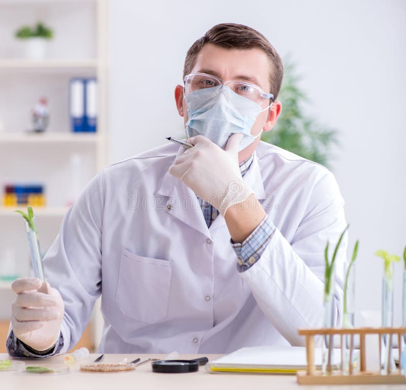 Male Biochemist Working in the Lab on Plants Stock Image - Image of ...