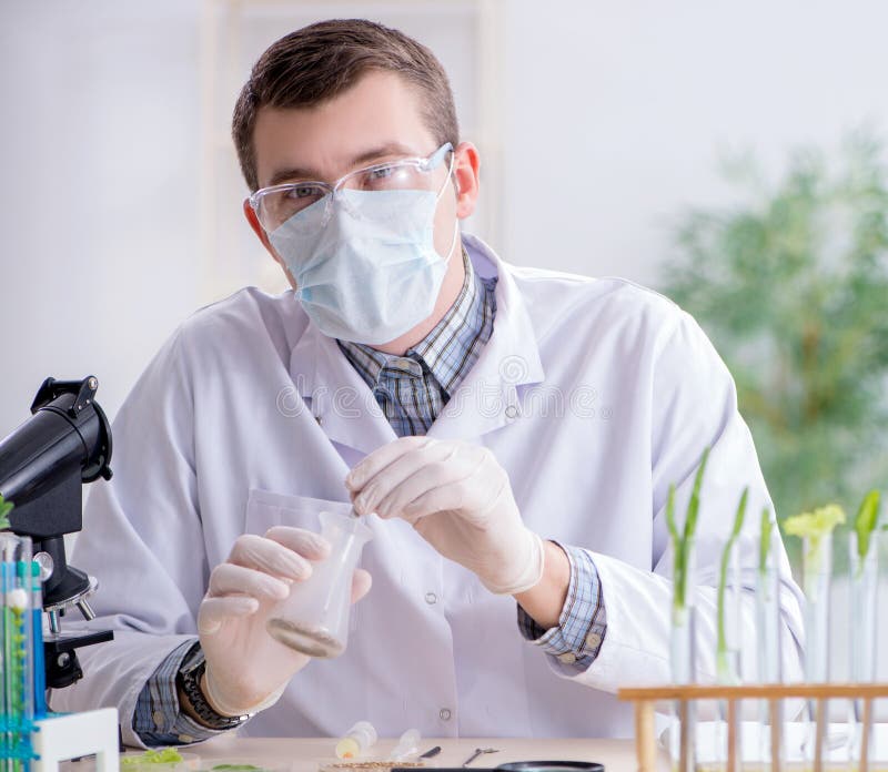 Male Biochemist Working in the Lab on Plants Stock Photo - Image of ...