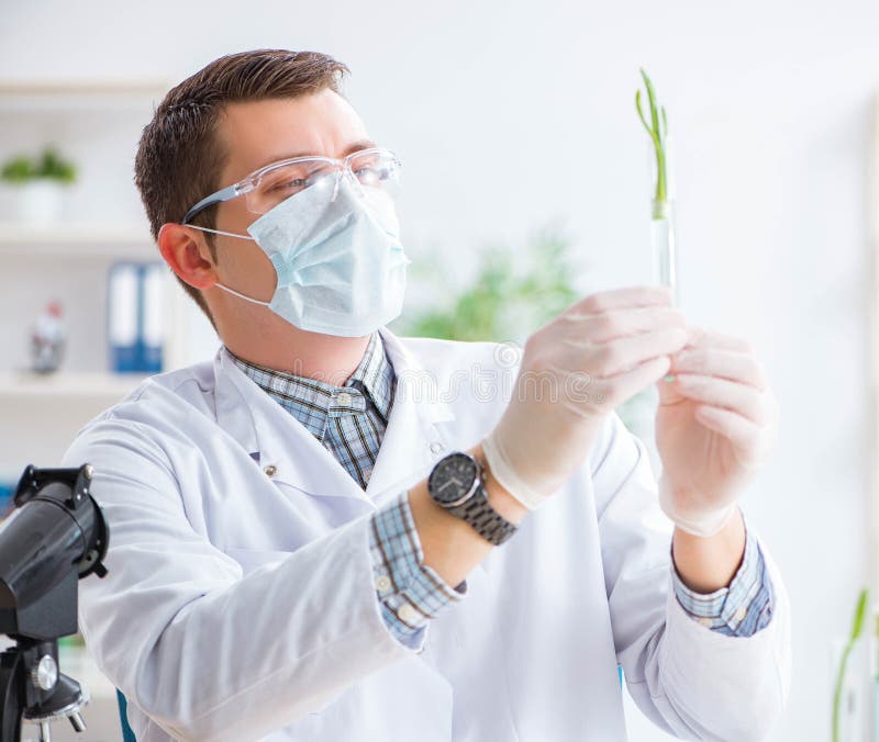 Male Biochemist Working in the Lab on Plants Stock Image - Image of ...