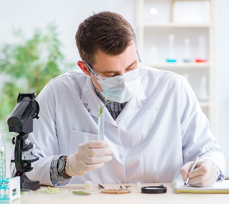 Male Biochemist Working in the Lab on Plants Stock Photo - Image of ...