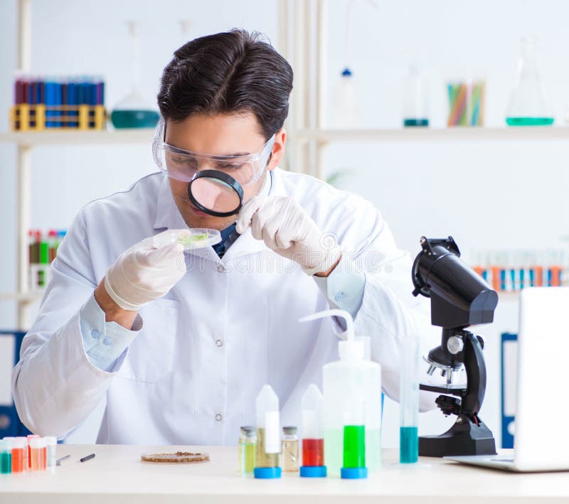 Male Biochemist Working in the Lab on Plants Stock Image - Image of ...