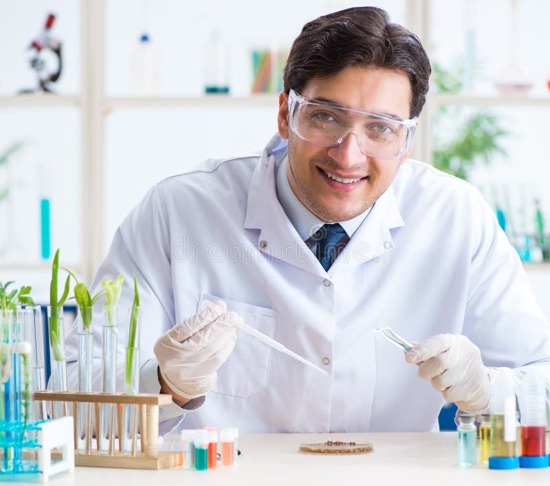 Male Biochemist Working in the Lab on Plants Stock Image - Image of ...