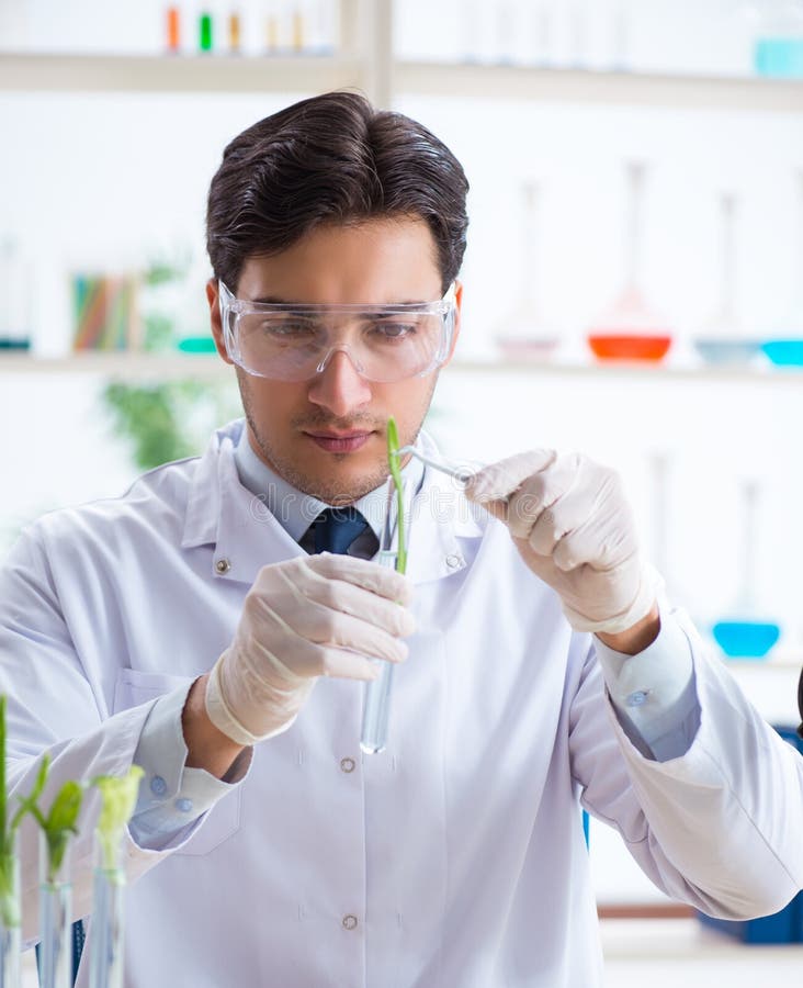 Male Biochemist Working in the Lab on Plants Stock Image - Image of ...