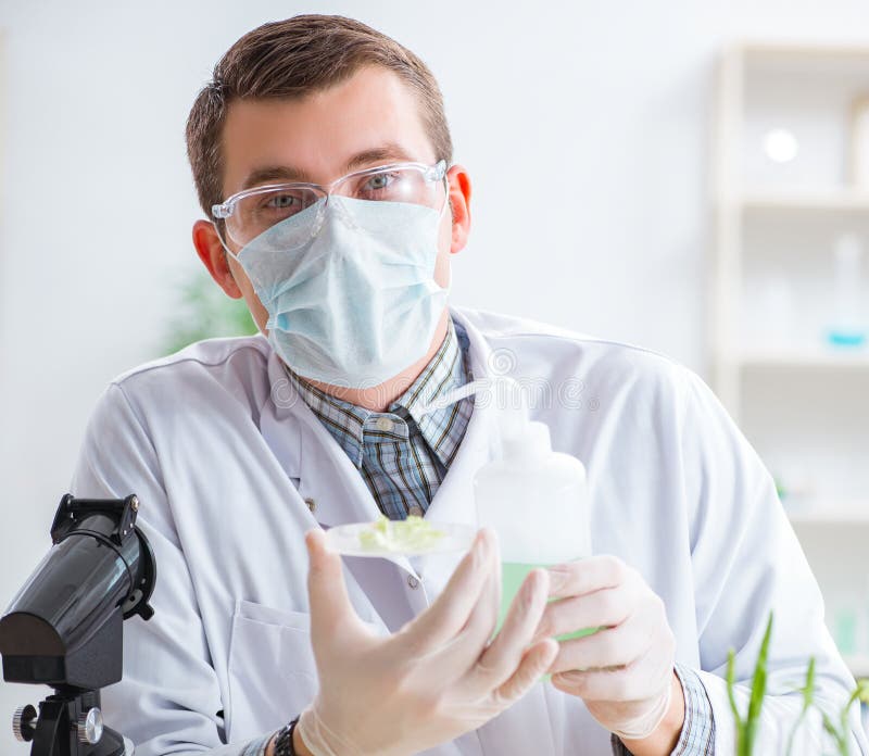 Male Biochemist Working in the Lab on Plants Stock Photo - Image of ...