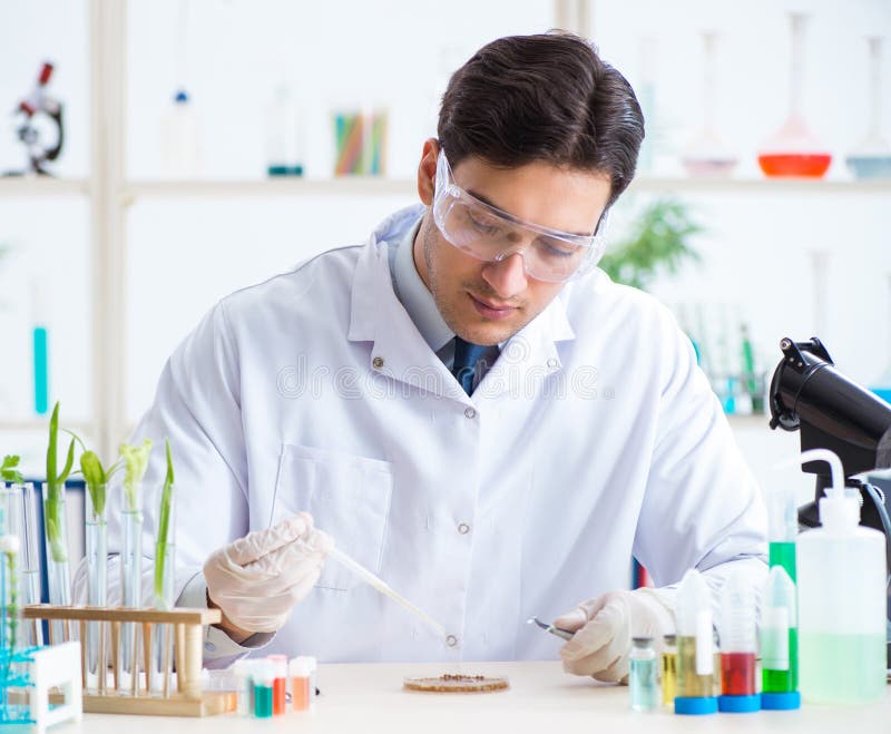 Male Biochemist Working in the Lab on Plants Stock Image - Image of ...