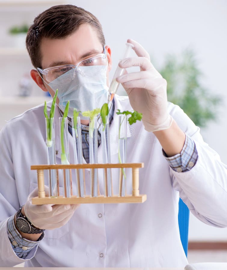 Male Biochemist Working in the Lab on Plants Stock Photo - Image of ...