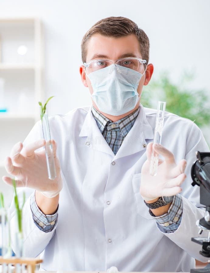 Male Biochemist Working in the Lab on Plants Stock Image - Image of ...