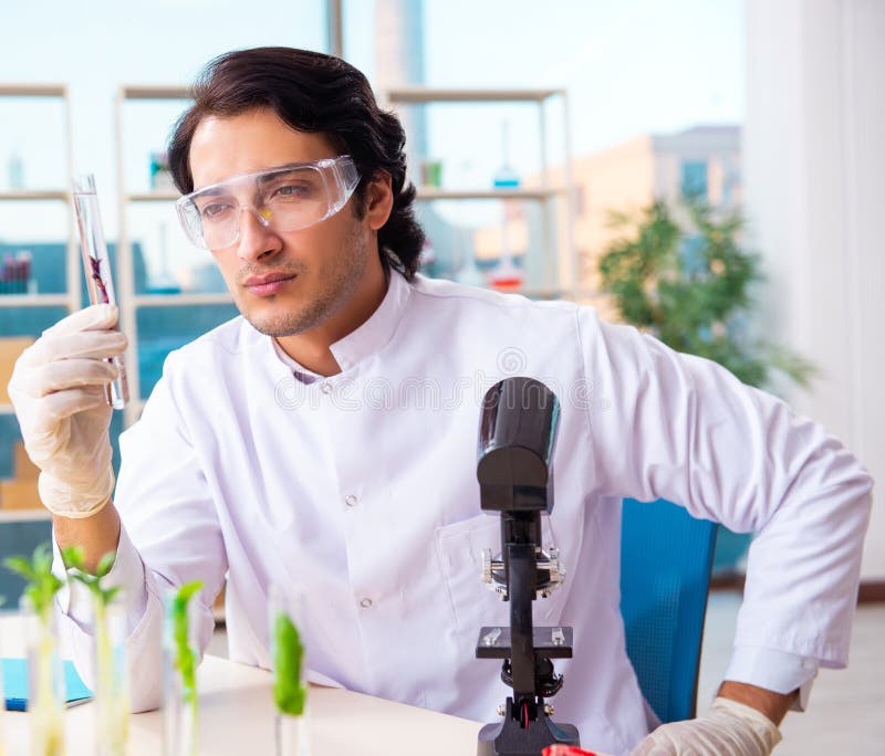 Male Biotechnology Scientist Chemist Working in the Lab Stock Image ...