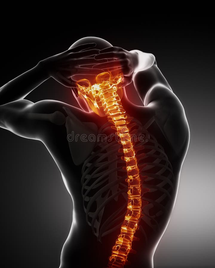 Male Body Backbone Scan stock illustration. Illustration of adult ...