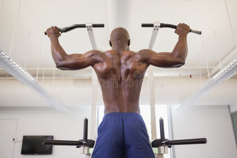 Male Body Builder Doing Pull Ups at the Gym Stock Image - Image of care ...