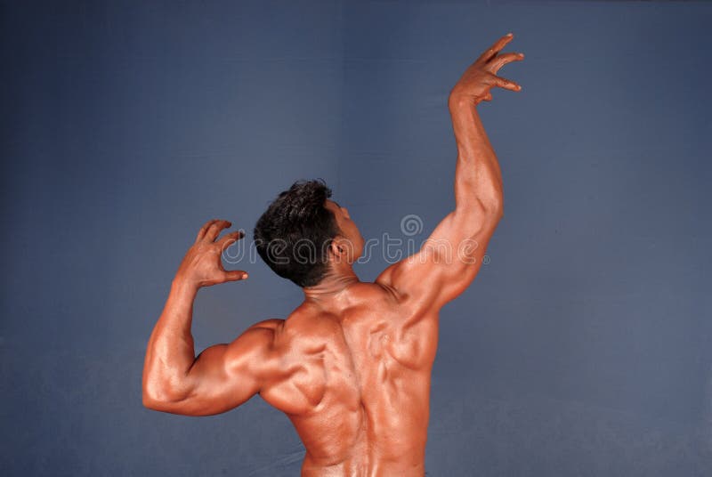 Man Back Shot Toned Muscle Stock Photos - Free & Royalty-Free Stock ...