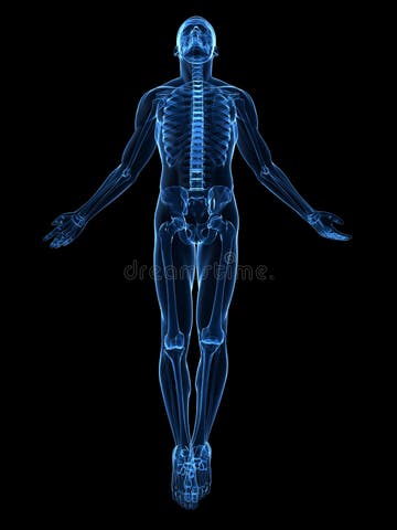 Body Male Rise Stock Illustrations – 211 Body Male Rise Stock ...