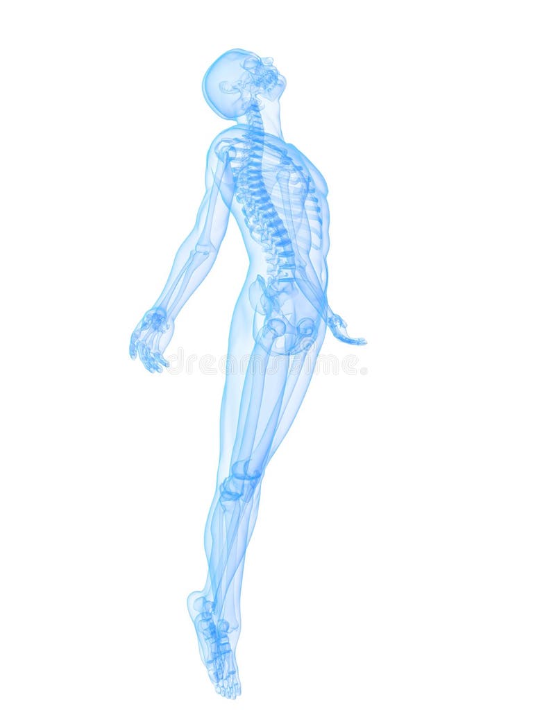 Body Male Rise Stock Illustrations – 207 Body Male Rise Stock ...