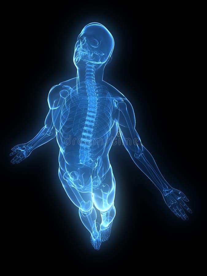 Anatomy Body Rise Skeleton Stock Illustrations – 63 Anatomy Body Rise ...