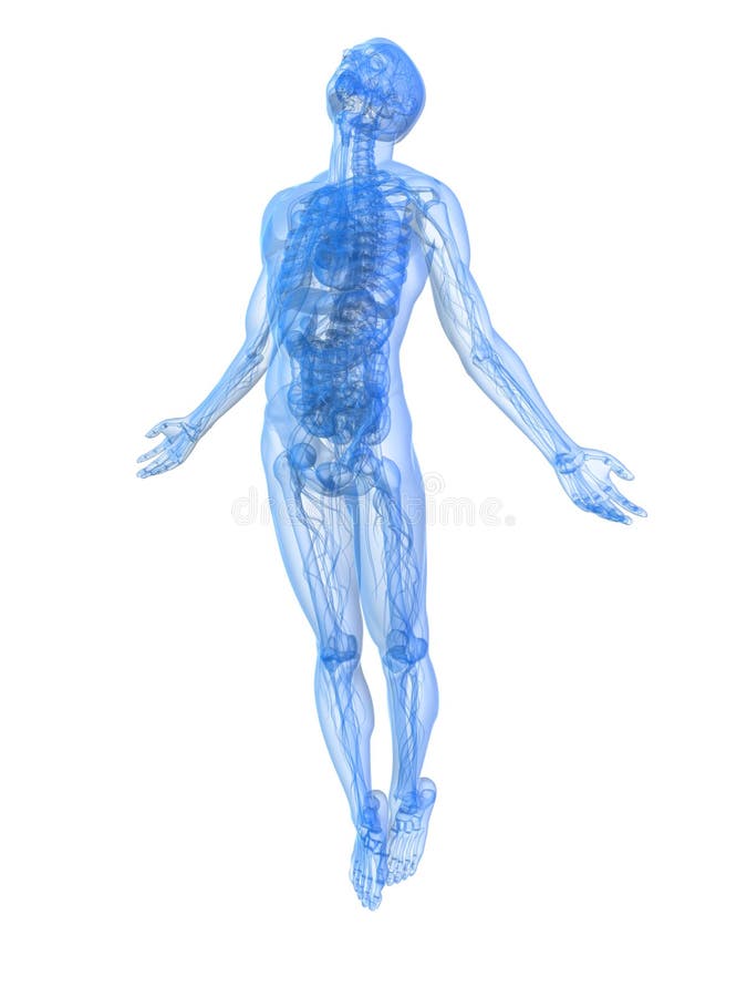 Male body rising stock illustration. Illustration of spread - 15435167