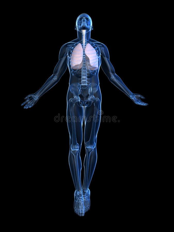 Male body rising stock illustration. Illustration of male - 15436242