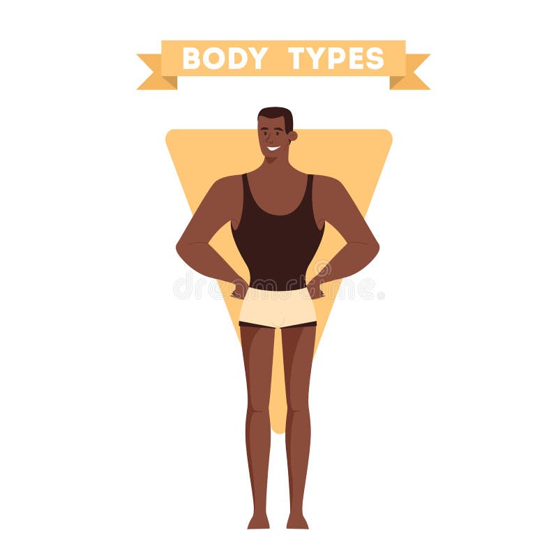 Male Shapes Vector Stock Illustrations – 6,173 Male Shapes Vector Stock ...