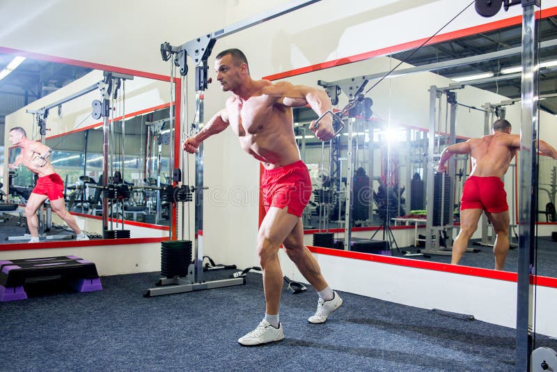 Male Bodybuilder Doing Exercises in a Gym Stock Image - Image of ...