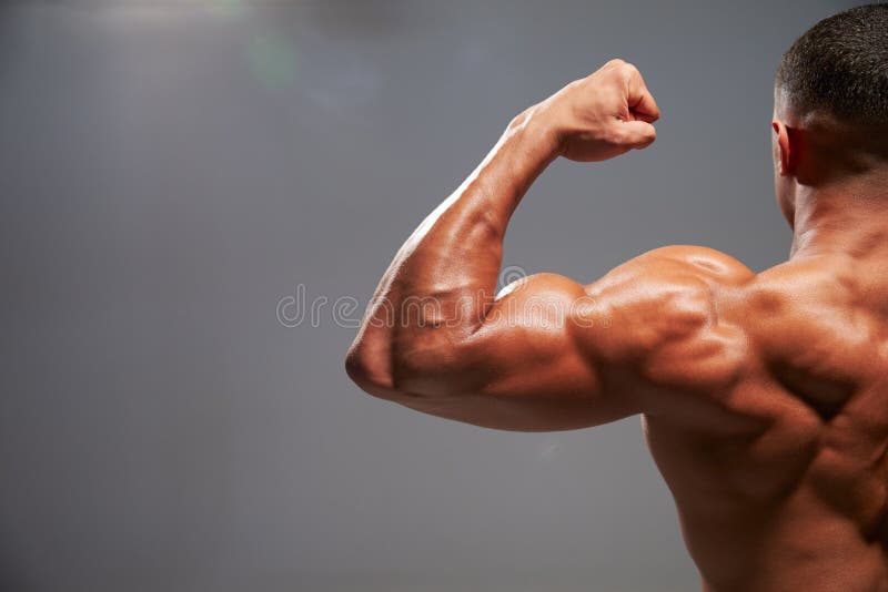 Male Bodybuilder Flexing Bicep, Back View with Copy Space Stock Image ...