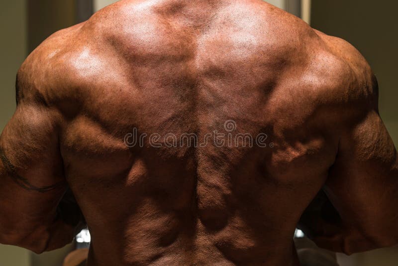 Male Bodybuilder Flexing His Back Stock Photo - Image of human, heavy ...