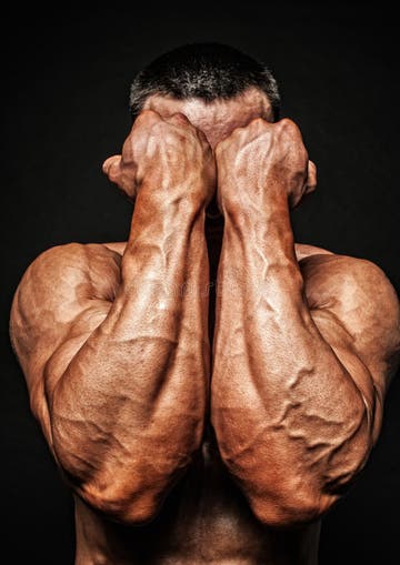Male bodybuilder hands stock photo. Image of builder - 29129448